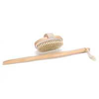 China OEM Detachable Long Handle Body Scrub Brush Dry Skin Cellulite Treatment for sale