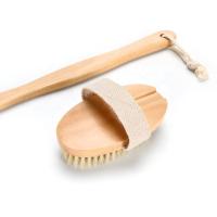 China OEM Detachable Long Handle Body Scrub Brush Dry Skin Cellulite Treatment for sale