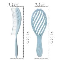 China Hair Styling Candy Color Plastic Hair Comb Hair Beauty Brush 24*8cm for sale