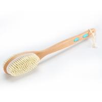 China Double Sized Dry Brush Long Handle Bath Body Back Exfoliate Shower Brush for sale