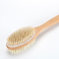 China Double Sized Dry Brush Long Handle Bath Body Back Exfoliate Shower Brush for sale