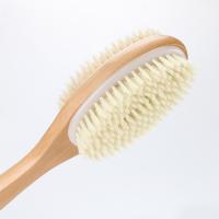 China Double Sized Dry Brush Long Handle Bath Body Back Exfoliate Shower Brush for sale