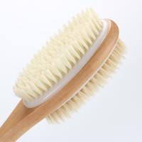 China Double Sized Dry Brush Long Handle Bath Body Back Exfoliate Shower Brush for sale