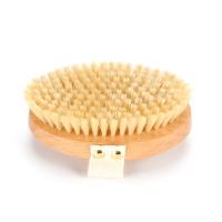 China Vegan Exfoliator Dry Body Brush For Boay Back Cleansing Eco-friendly for sale
