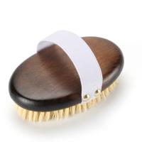 China Oval Beech Wood Handle Body Brush r Dry Skin Shower Back Brush for sale