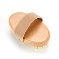 China Natural Beechwood Sisal Vegan Back Body Brush Dry Brush For Sensitive Skin for sale