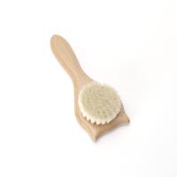 China Baby Hair Brush Goat Wood Toddler Bath Brush And Comb Kit for sale