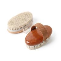 China Dark Wood Handle Dry Bruhsing for Body Skin for sale