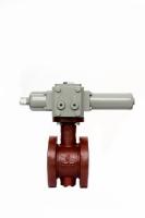 China Hydraulic Butterfly Valve for sale