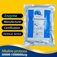 China Alkaline Protease Powder 50000u/g-1500000u/g  Customized Food Grade&pharmaceutical Grade Customized Enzyme Activity Specifications for sale