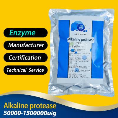 China Alkaline Protease Powder 50000u/g-1500000u/g  Customized Food Grade&pharmaceutical Grade Customized Enzyme Activity Specifications for sale