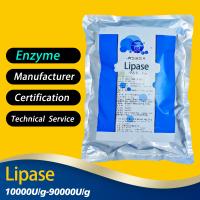 China Light White Powder Lipases Enzymes 10000U/G-90000U/G Lipase Digestive Enzymes for sale