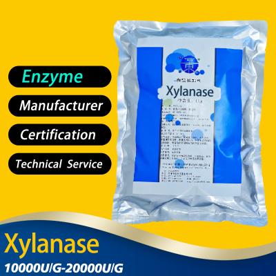 China 20000U/G Xylanase Enzyme Xylanase In Food For Baking Bread for sale