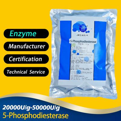 China Type 5 Phosphodiesterase 20000U/G~50000U/G Phosphodiesterase 5 Enzyme for sale