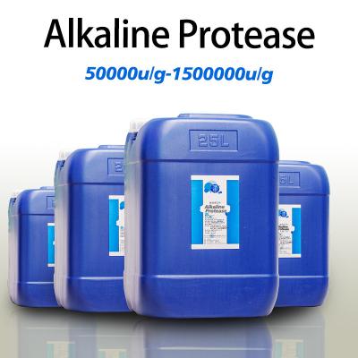 China Alkaline Protease Enzyme 50000u/g-1500000u/g Protease Manufacturer Providing Enzyme Preparation Sample Minimum Order 1kg for sale