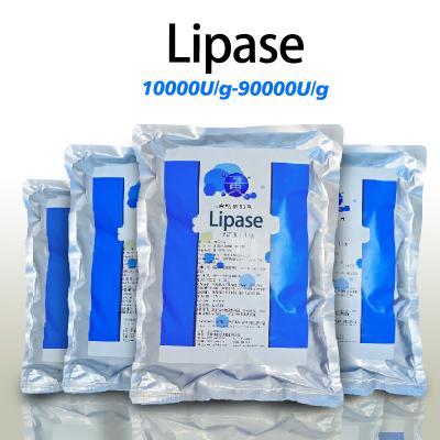 China 10000U/G-90000U/G Enzyme Lipase Breaks Down Lipase Powder For Cheese Making for sale