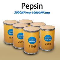 China Protein Pepsin Enzyme Food 10000NF/mg Light Yellow Pepsin Powder for sale