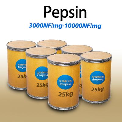 China Protein Pepsin Enzyme Food 10000NF/mg Light Yellow Pepsin Powder for sale