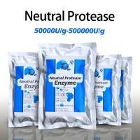 China Food Grade Neutral Protease Enzyme Feed Grade Protease Powder for sale