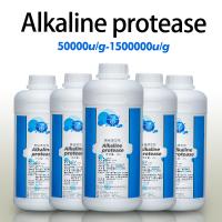 China Alkaline Protease Enzyme 50000u/G-1500000u/G Protease Powder for sale