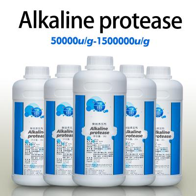 China Alkaline Protease Enzyme 50000u/G-1500000u/G Protease Powder for sale