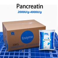 China Customized Proteolytic Enzymes In Pancreatic Juice 2000u/G For Feed Processing for sale