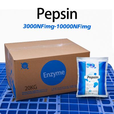 China Medical Grade Pepsin Enzyme 10000NF/Mg Customized Food Grade for sale