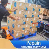 China Pharmaceutical Grade Papaya Contains Papain Customized Papain Food Grade for sale