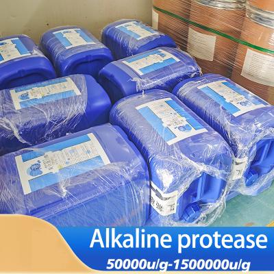 China Enzyme That Breaks Down Meat Protease Powder For Protein Peptide Feed Processing for sale
