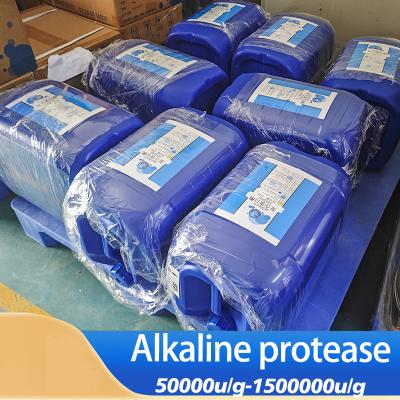 China 2.4L Proteolytic Enzymes In Food Grade Bacillus Licheniformis 2709 for sale