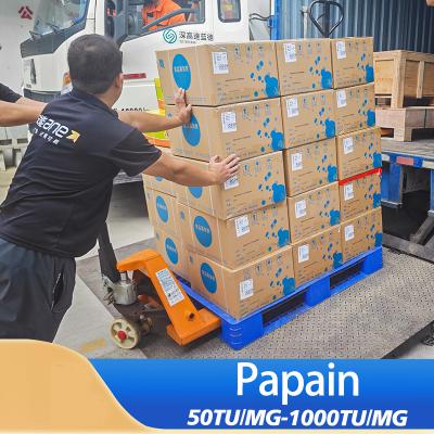 China papaya protease 50TU/MG-1000TU/MG Protease manufacturers customized product grades colony grades for sale