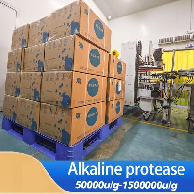 China Food Grade Industrial Grade Alkaline Protease Enzyme Customizable for sale