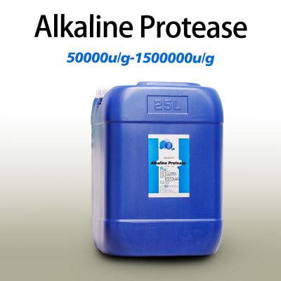 China Leather Industry Alkaline Protease Powder 37071 50000u/G-1500000u/G for sale