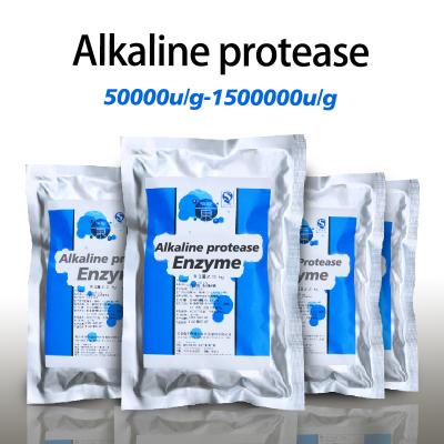 China Detergent Industry Alkaline Protease Enzyme 50000u/G-1500000u/G for sale