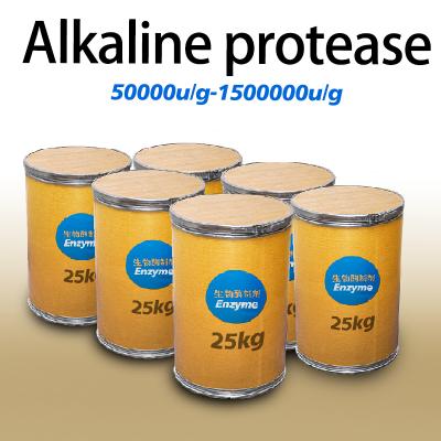 China Customized Bacterial Protease Enzyme Alkaline Protease 2.4L  Food Grade for sale