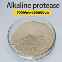 China 2.4L Protease Enzyme In Food Industry Providing Enzyme Preparation Sample for sale