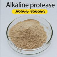 China Proteolytic Foods Alkaline Protease 300000u/G For Protein Feed And Medicine for sale