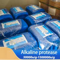 China Customized Protease Enzyme Detergent 2.5L Alkaline Protease Soluble In Water for sale