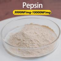 China Pepsin Enzyme 3000NF/Mg Pepsin Manufacturers Customized Food Grade Pharmaceutical Grade for sale