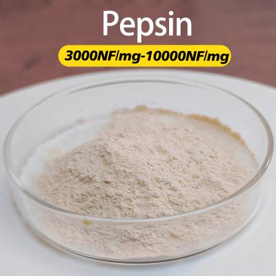 China Pepsin Enzyme 3000NF/Mg Pepsin Manufacturers Customized Food Grade Pharmaceutical Grade for sale