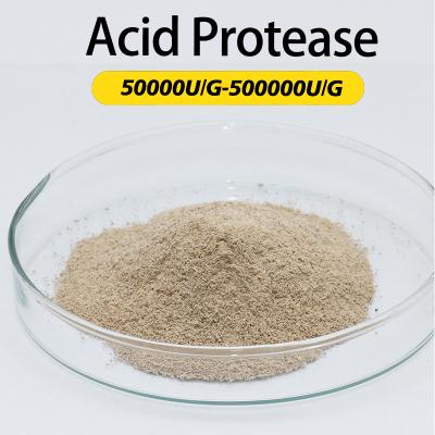 China 50000U/G-200000U/G Acid Protease For Food Fermentation Shortening Fermentation Cycle for sale