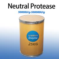 China 200000U/G Subtilisin Enzyme Used For Protein Peptide And Feed Processing for sale