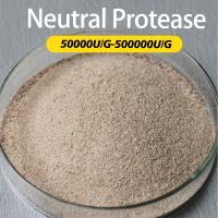 China Subtilisins Proteolytic Enzymes 50000U/G-500000U/G For Protein Peptide for sale
