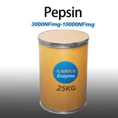 China Light Yellow Porcine Pepsin Powder 10000NF/Mg Providing Enzyme Preparation Sample Testing for sale