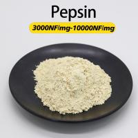 China 10000NF/Mg Pancreas Pepsin Customized Enzyme Activity Soluble In Water for sale