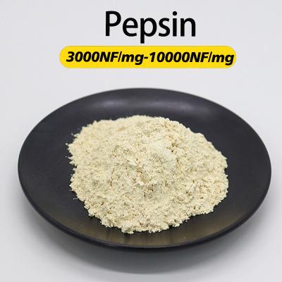 China 10000NF/Mg Pancreas Pepsin Customized Enzyme Activity Soluble In Water for sale