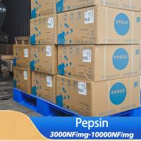 China Light Yellow Water Soluble Purified Pepsin Powder 3000NF/Mg-10000NF/Mg for sale