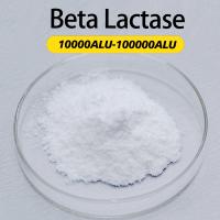 China 10000ALU-100000ALU Alpha Galactosidase Enzyme Foods Customized Enzyme Activity for sale
