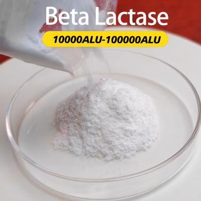 China Beta Lactase Dairy Digestive Enzymes 100000ALU Providing Enzyme Preparation Sample Minimum Order 1kg for sale