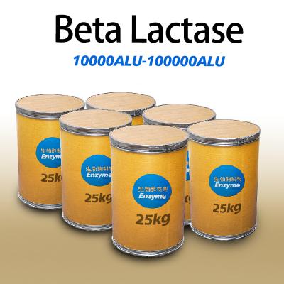 China Dairy Digestive Enzymes 10000ALU-100000ALU Beta Lactase White Powder for sale